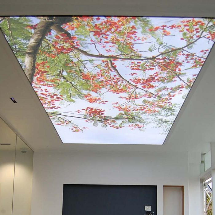 Stretch Ceiling India | Interior design ceiling | 3d stretch ceiling ...